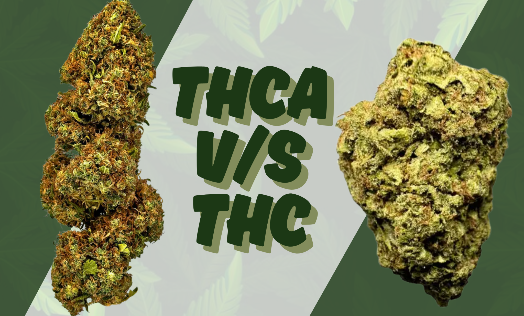 THCA vs THC Flower: Understanding the Difference and Popular THCA ...
